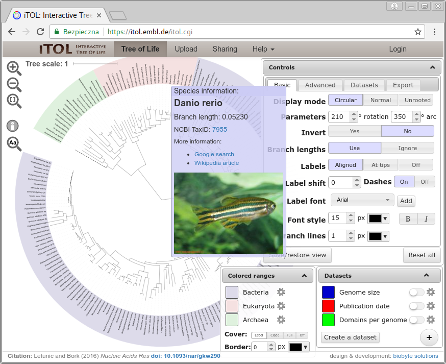 Wizualizacja drzew - Filogenetyka roślin