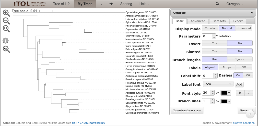 Wizualizacja drzew - Filogenetyka roślin